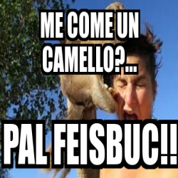 Meme Personalizado - me come un camello?... pal feisbuc!! - 18663588