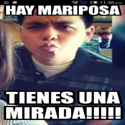 Meme Personalizado - Hay mariposa Tienes una mirada!!!!! - 18663593