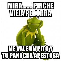 Meme Kermit the frog - MIRA....... PINCHE VIEJA PEDORRA ME VALE UN PITO ...