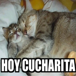 Meme Personalizado - hoy CUCHARITA - 18747992