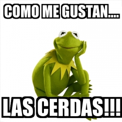 Meme Kermit the frog - como me gustan.... las cerdas!!! - 18769964