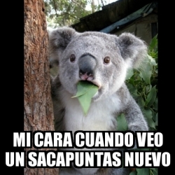 Meme Koala - Mi cara cuando veo un sacapuntas nuevo - 18856596