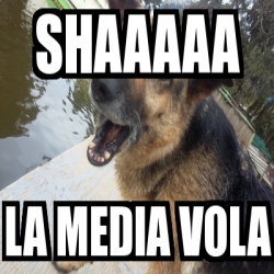 Meme Personalizado - shaaaaa la media vola - 18936823