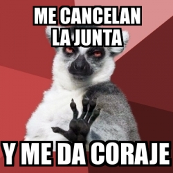 Meme Chill Out Lemur - ME CANCELAN LA JUNTA Y ME DA CORAJE - 18963187