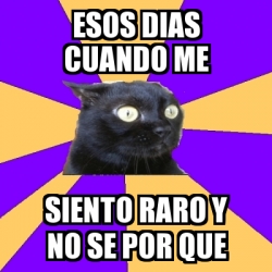 Meme Anxiety Cat - Esos dias cuando me Siento raro y no se por que ...