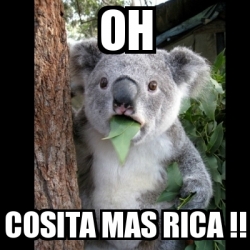 Meme Koala - oh cosita mas rica !! - 19006041