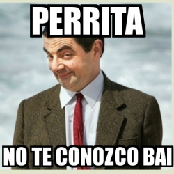 Meme Mr Bean - perrita no te conozco bai - 19115674
