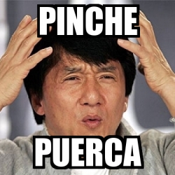 Meme Jackie Chan - pinche puerca - 19209761