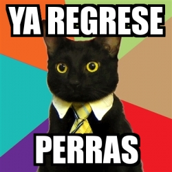 Meme Business Cat - Ya regrese perras - 19249672