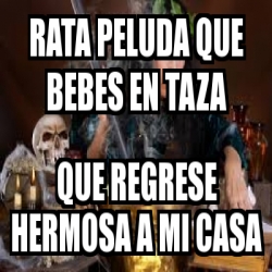 Meme Personalizado - rata peluda que bebes en taza que regrese hermosa ...