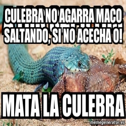 Meme Personalizado - Culebra no agarra maco saltando, si no acecha o ...