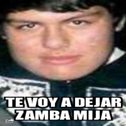 Meme Personalizado - te voy a dejar zamba mija - 19336559