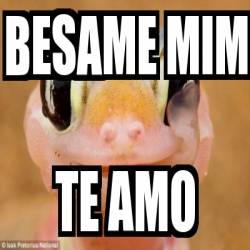 Meme Personalizado - besame mim te amo - 19340812