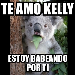 Meme Koala - Te Amo Kelly Estoy Babeando por TI - 19354878