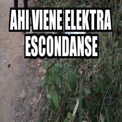 Meme Personalizado - ahi viene elektra escondanse - 19583326