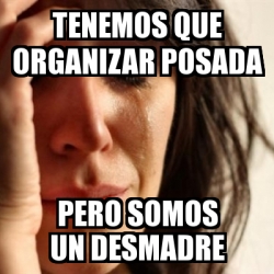Meme Problems - tenemos que organizar posada pero somos un desmadre ...