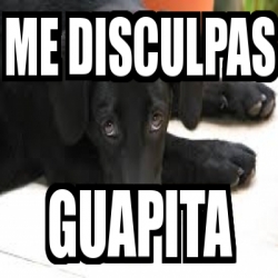 Meme Personalizado - me disculpas guapita - 19678473