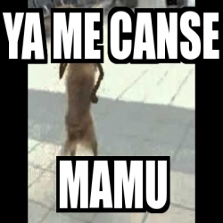Meme Personalizado - Ya me canse Mamu - 19688715