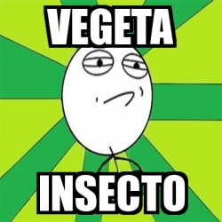 Meme Challenge Accepted - vegeta insecto - 19074603