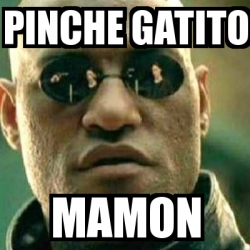 Meme What If I Told You - pinche gatito mamon - 19703682