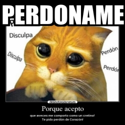 Meme Personalizado - perdoname - 19716298