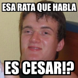 Meme Stoner Stanley - ESA RATA QUE HABLA ES CESAR!? - 19716668