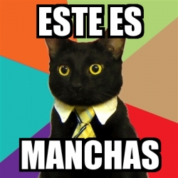 Meme Business Cat - ESTE ES MANCHAS - 19778508