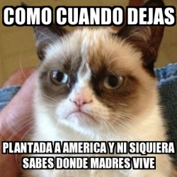 Meme Grumpy Cat - como cuando dejas plantada a america y ni siquiera ...