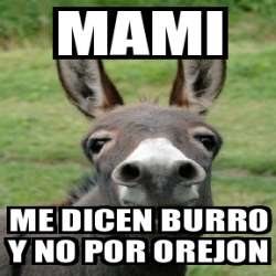 Meme Personalizado - MAMI ME DICEN BURRO Y NO POR OREJON - 19810968