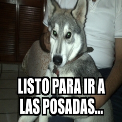 Meme Personalizado - listo para ir a las posadas... - 19852824