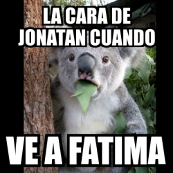 Meme Koala - la cara de jonatan cuando ve a fatima - 19883576
