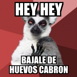Meme Chill Out Lemur - HEY HEY BAJALE DE HUEVOS CABRON - 19898271