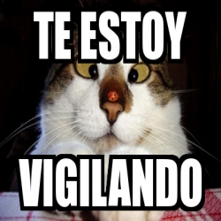 Meme Personalizado - te estoy vigilando - 2004033