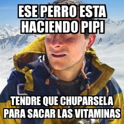 Meme Bear Grylls - ESE PERRO ESTA HACIENDO PIPI TENDRE QUE CHUPARSELA ...