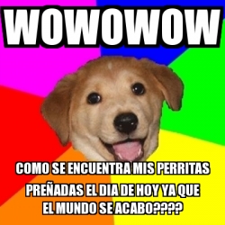 Meme Advice Dog - WOWOWOW COMO SE ENCUENTRA MIS PERRITAS PREÃ±ADAS EL ...