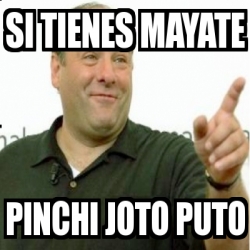 Meme Personalizado - si tienes mayate pinchi joto puto - 2169287