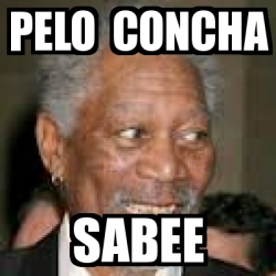 Meme Personalizado - pelo concha sabee - 2190323