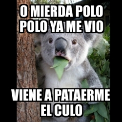 Meme Koala - o mierda polo polo ya me vio viene a pataerme el culo ...