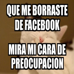 Meme Personalizado - QUE ME BORRASTE DE FACEBOOK MIRA MI CARA DE ...