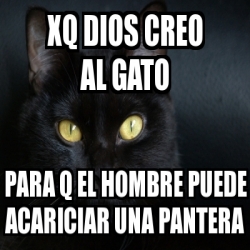 Meme Personalizado - Xq Dios creo Al gato para q el hombre puede ...