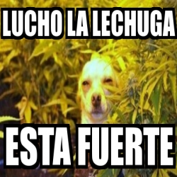 Meme Personalizado - lucho la lechuga esta fuerte - 2281772