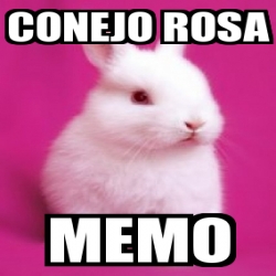 Meme Personalizado - conejo rosa memo - 2295920