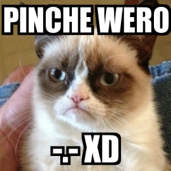 Meme Grumpy Cat - pinche wero -.- XD - 2328998