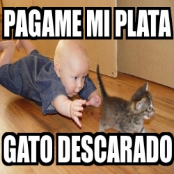 Meme Personalizado - pagame mi plata gato descarado - 2453250