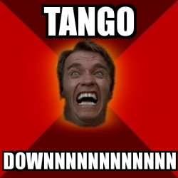 Meme Arnold - TANGO DOWNNNNNNNNNNNN - 2460045