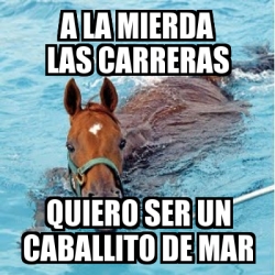 Meme Personalizado - A LA MIERDA LAS CARRERAS quiero ser un caballito ...