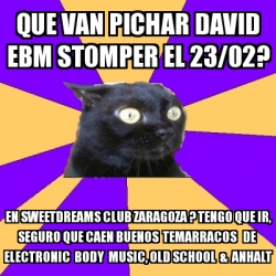 Meme Anxiety Cat - que van pichar david ebm stomper el 23/02? en ...