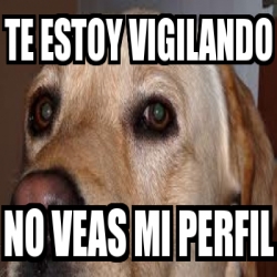 Meme Personalizado - TE ESTOY VIGILANDO NO VEAS MI PERFIL - 2594265