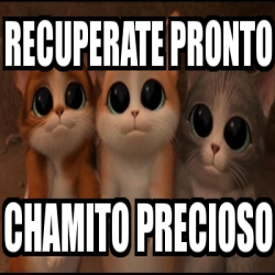 Meme Personalizado - recuperate pronto chamito precioso - 2608983