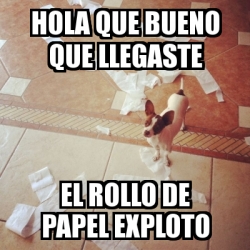 Meme Personalizado - Hola que bueno que llegaste El Rollo de papel ...